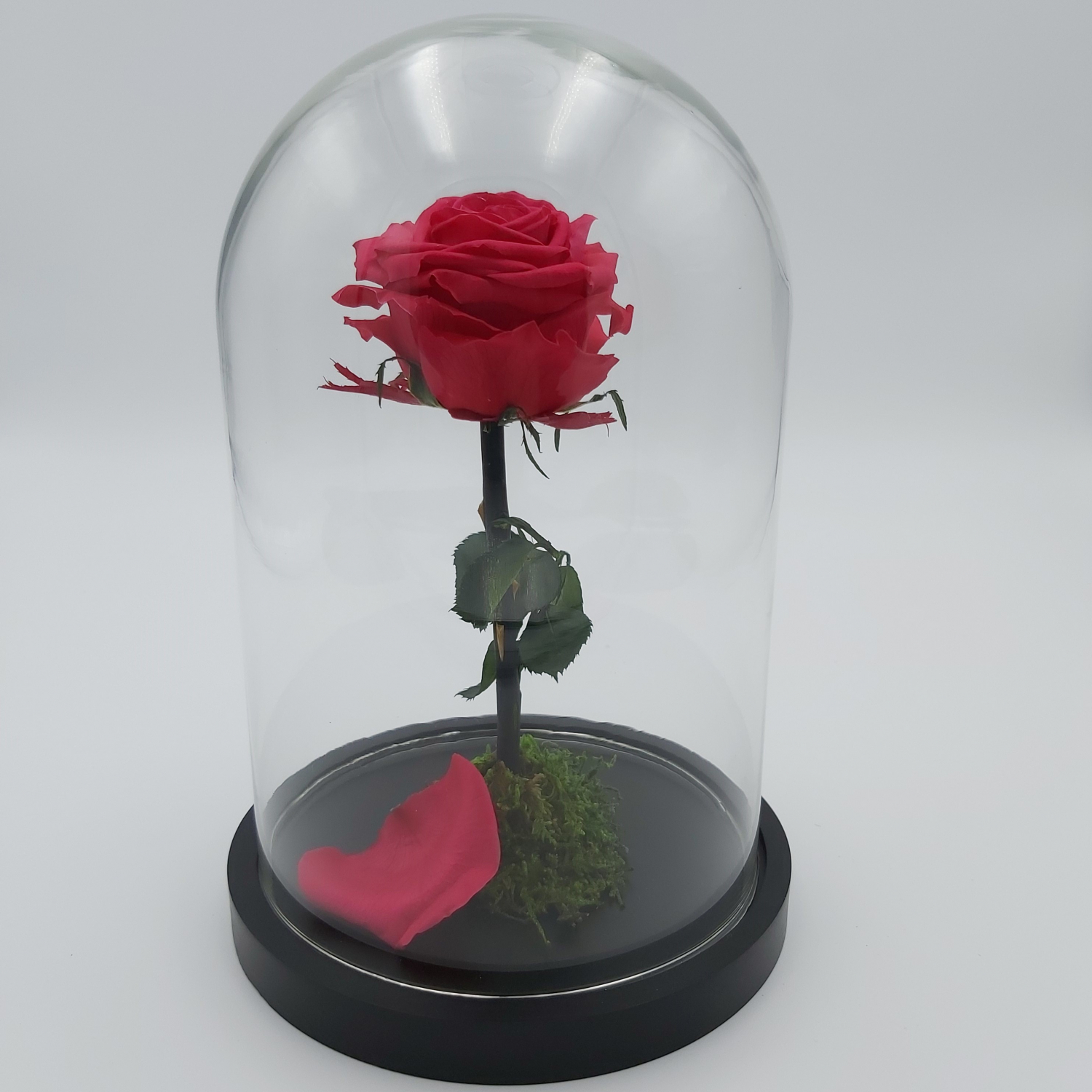 Livraison fleurs Bruxelles - Botanica Brussels