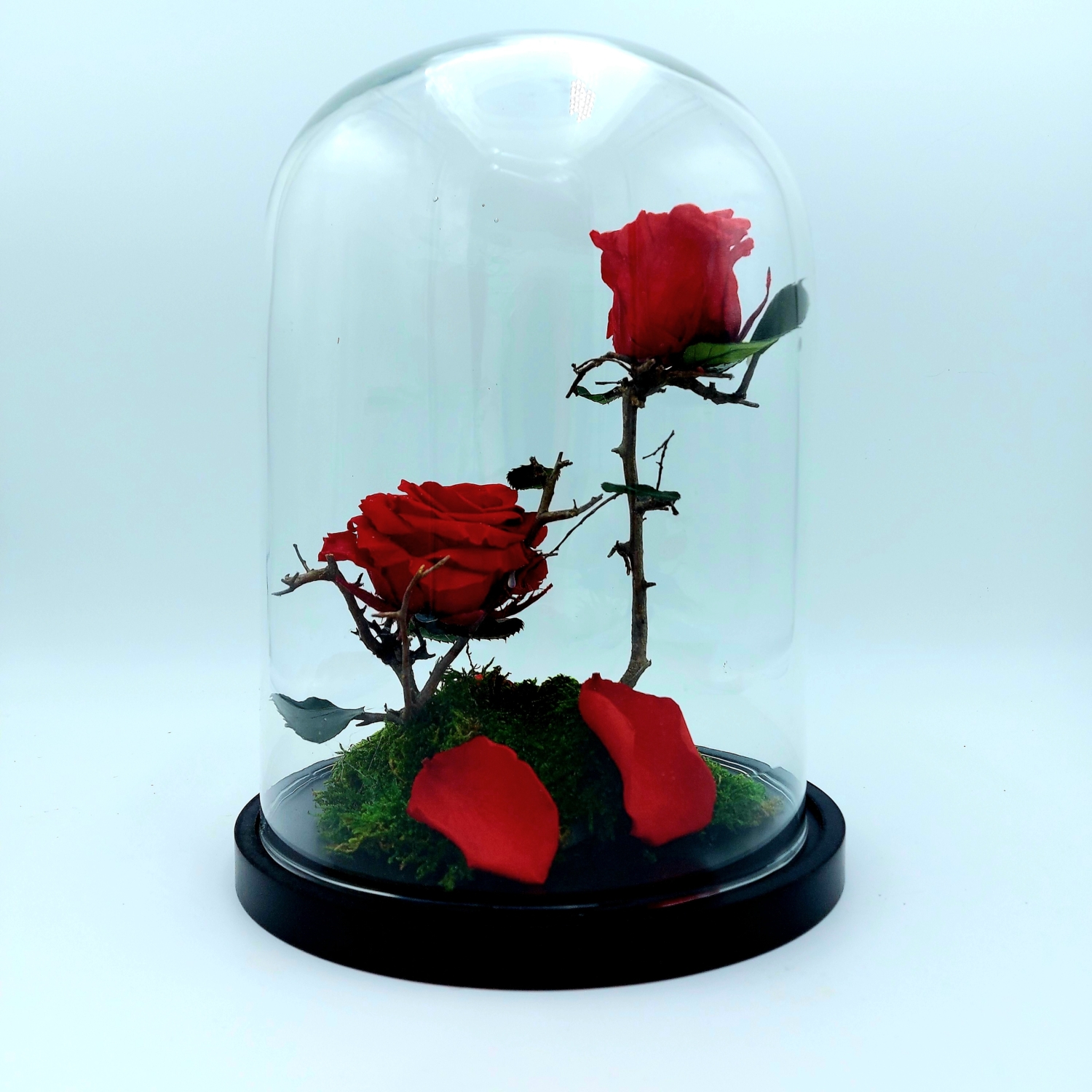 Couple roses rouges éternelles - Botanica Brussels