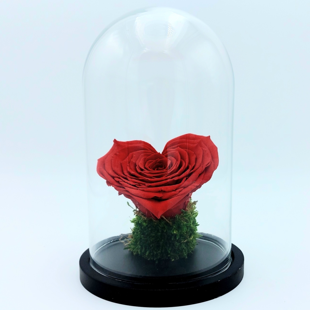 Livraison fleurs Bruxelles - Botanica Brussels