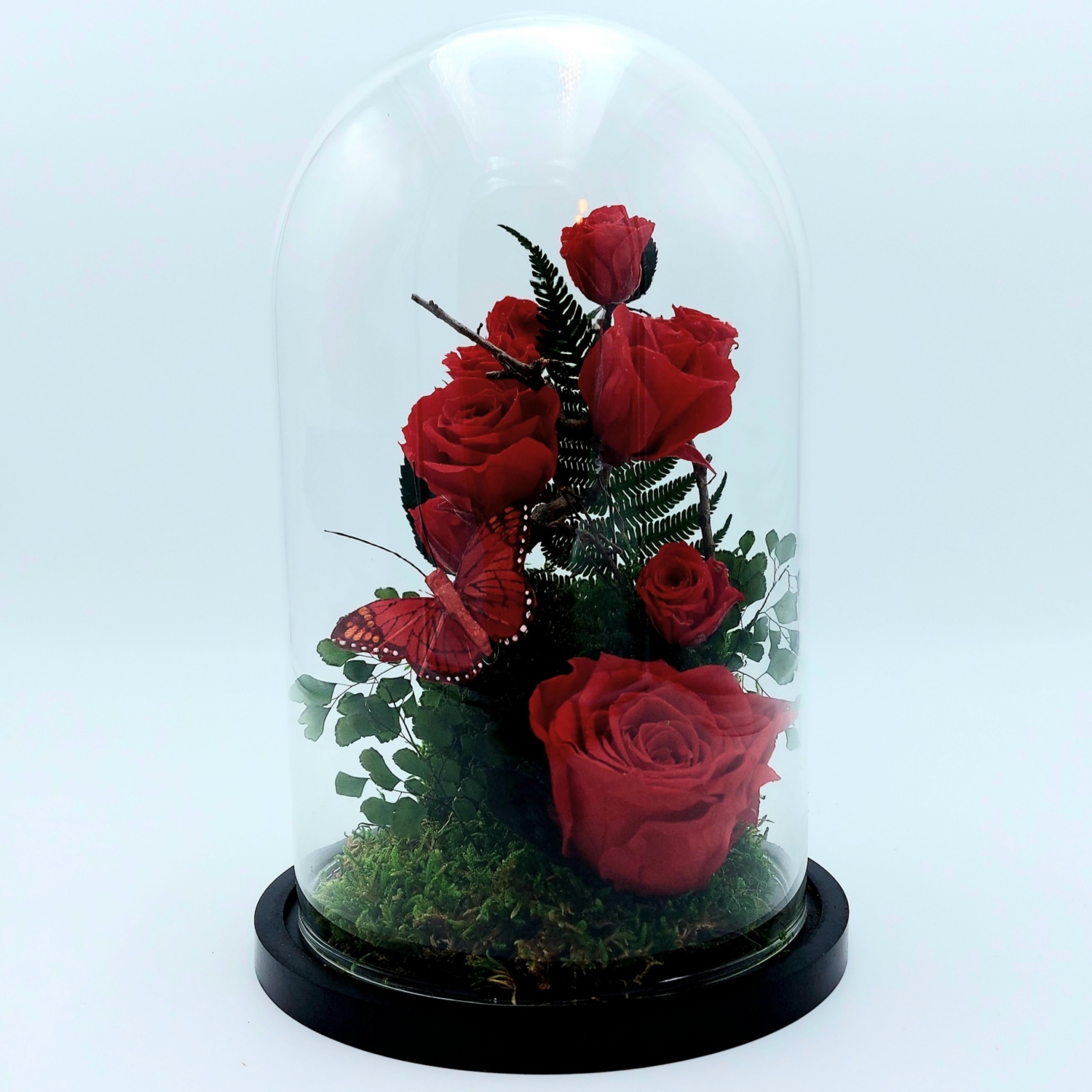 Roses éternelles et papillon - Botanica Brussels