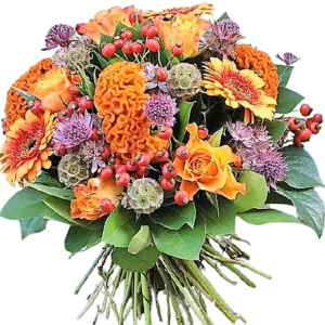 Livraison fleurs Bruxelles - Botanica Brussels